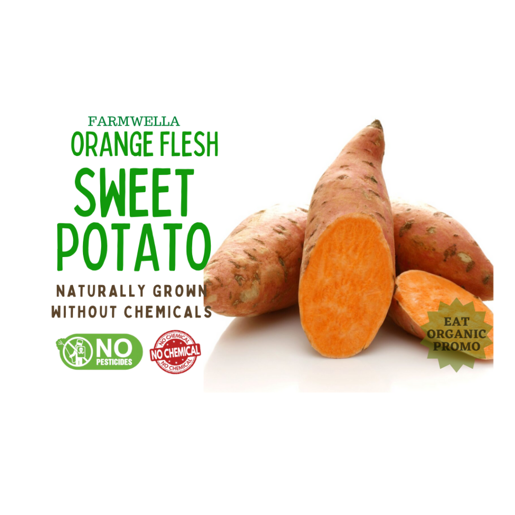 Sweet Potato (OFSP)