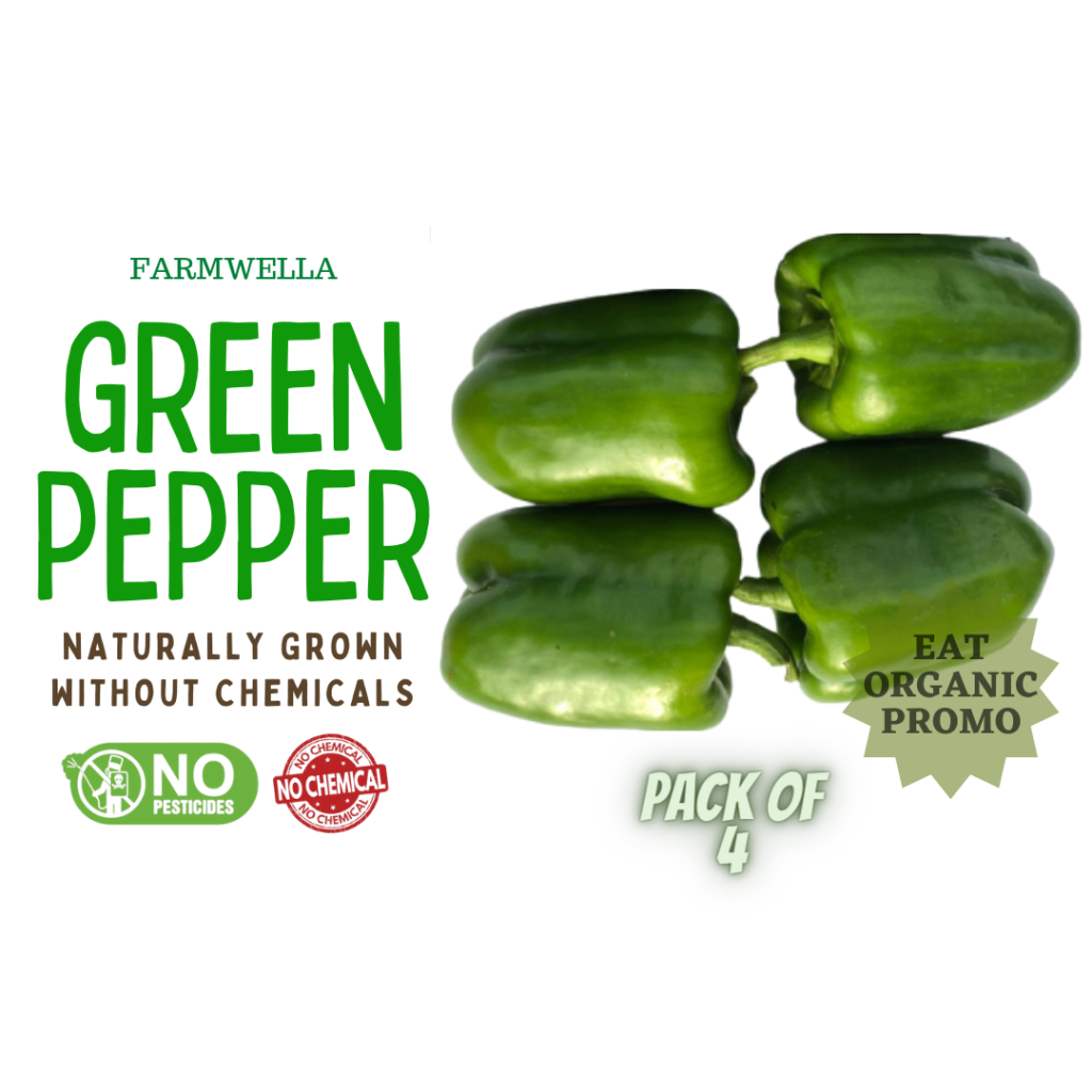 Green Pepper (Pack of 4)