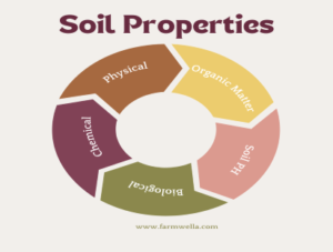 Managing The Soil Nutrients Effectively