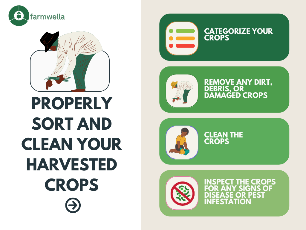 5 Best Practices for Post-harvest Handling and Processing