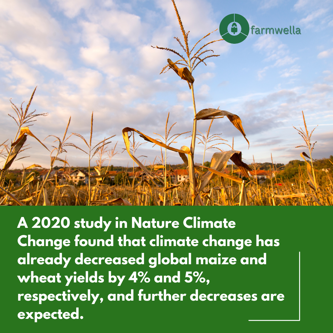 5 Factors that Could be Contributing to Crop Failures on Your Farm and ...