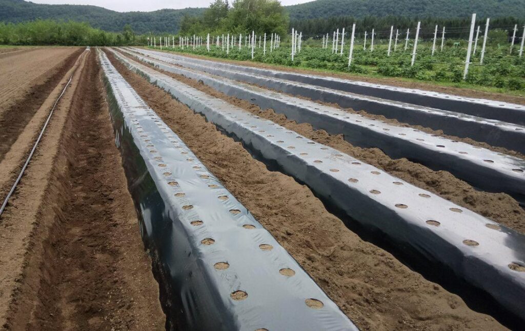 4 Space Management Techniques for Small-Scale Farming